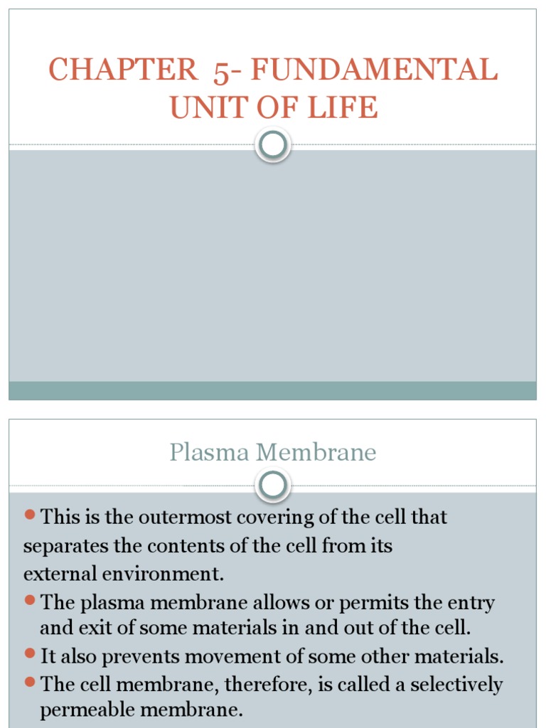 Cell - The Fundamental Unit of Life | PDF | Cell (Biology) | Endoplasmic Reticulum