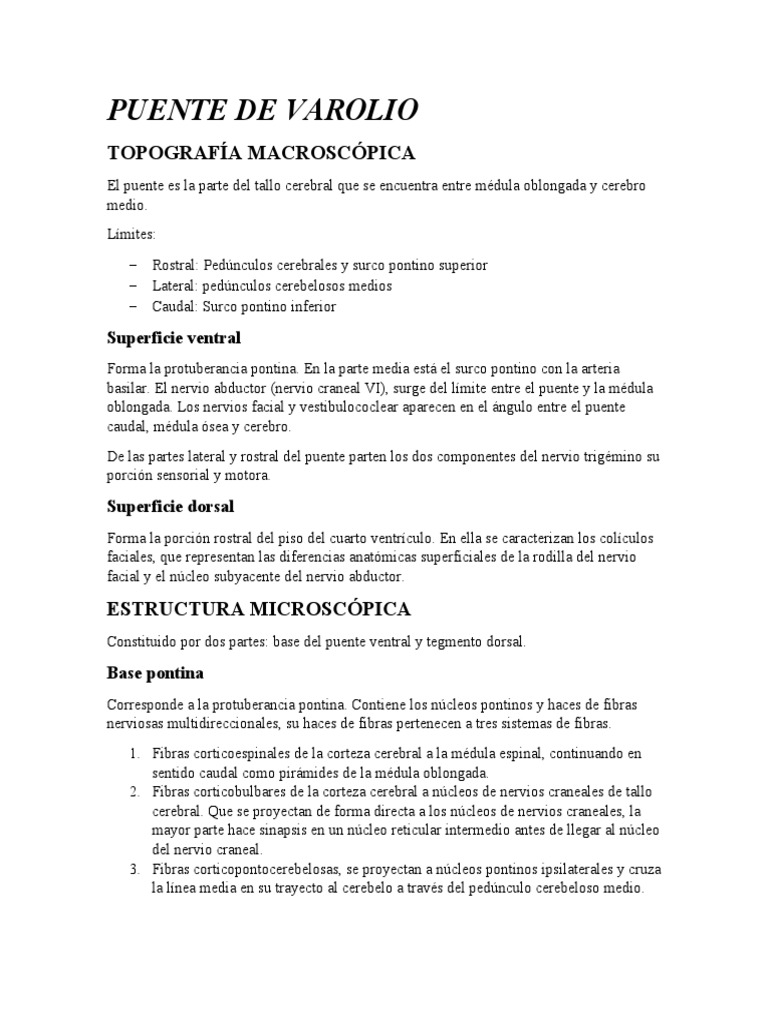 Puente de Varolio | PDF | Cerebelo | Neurociencia