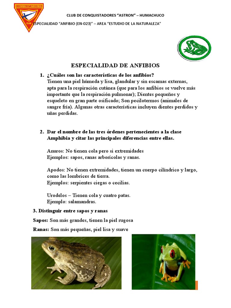 Especialidad de Anfibios | PDF | Anfibio | Rana