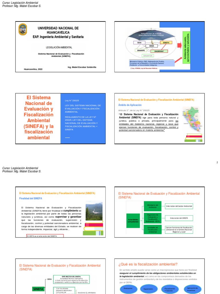 Ley del SINEFA y su Fiscalización Ambiental | PDF | Regulación | Justicia