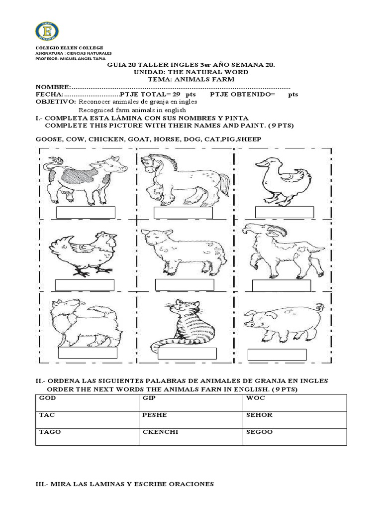 Guia N 20 T.ingles 3er A - o Semana 20 | PDF