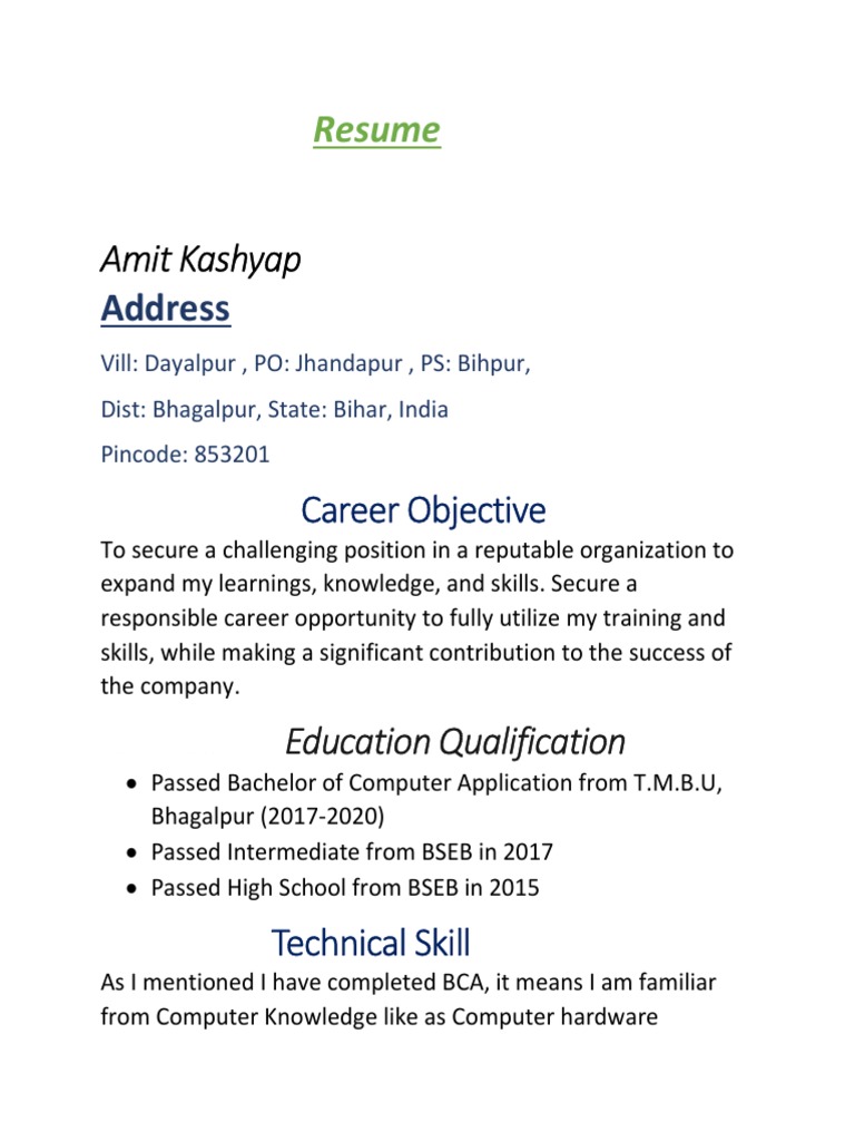Amit Resum 01 | PDF | Career & Growth | Computers