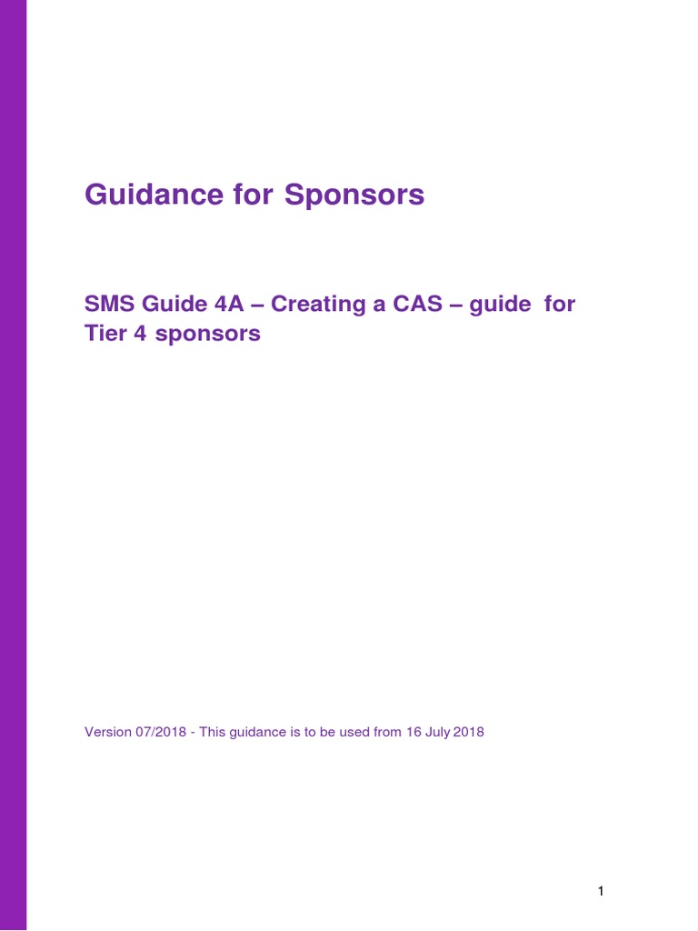 Guidance for Creating an Accurate CAS | PDF | Academic Degree ...