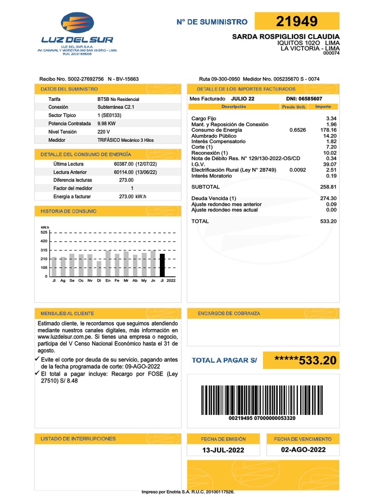 Recibo de Luz | PDF | Energia electrica | Electricidad