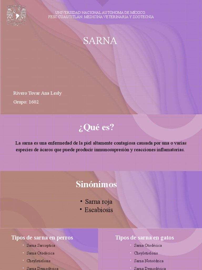Sarna Exposición | PDF | Especialidades Medicas | Inmunología