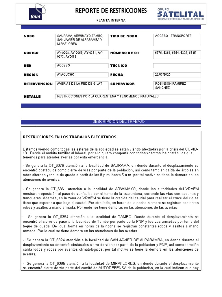 Informe Restricciones | PDF