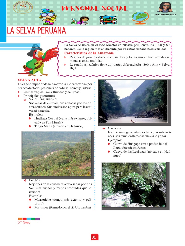 Relieves y Geoformas de la Selva Peruana | PDF | Selva | Geografía