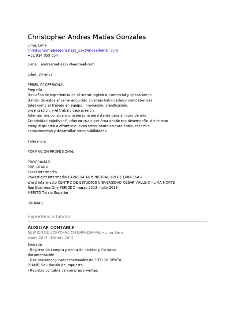 CV Christopher Andres Matias Gonzales | PDF