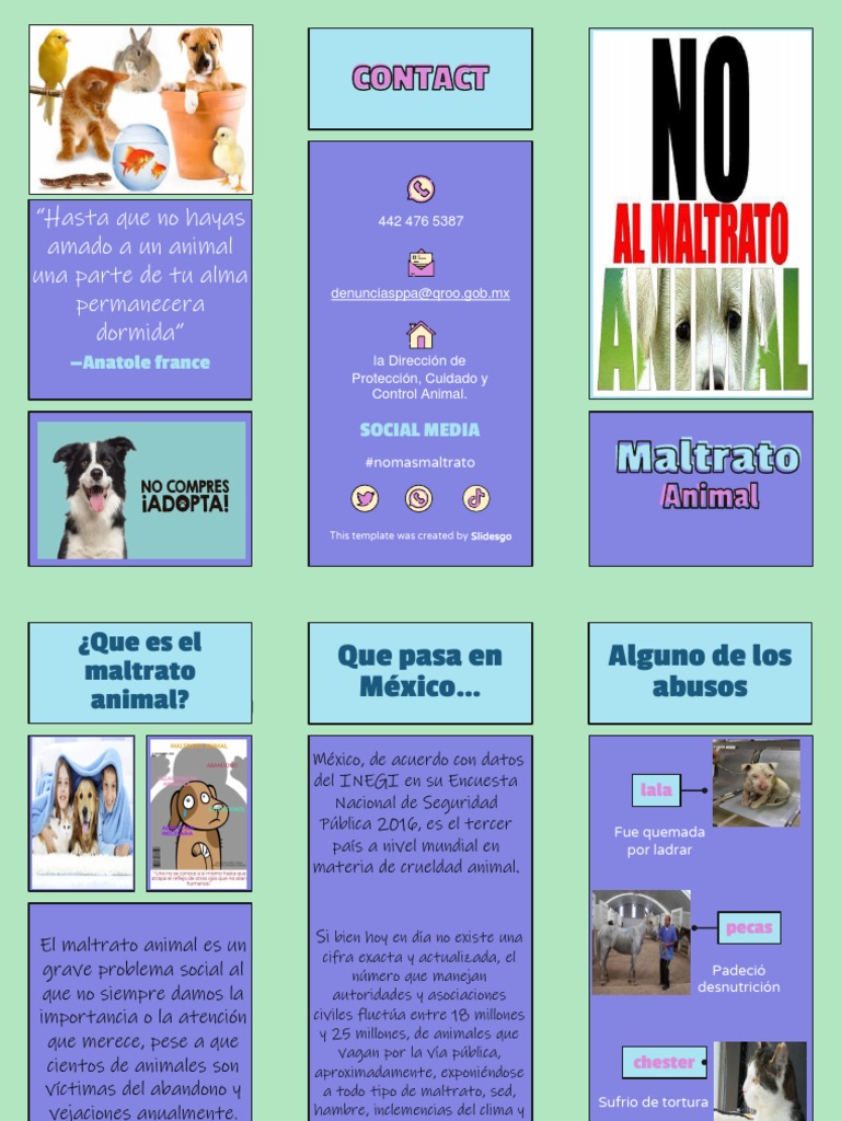Folleto Maltrato Animal | PDF