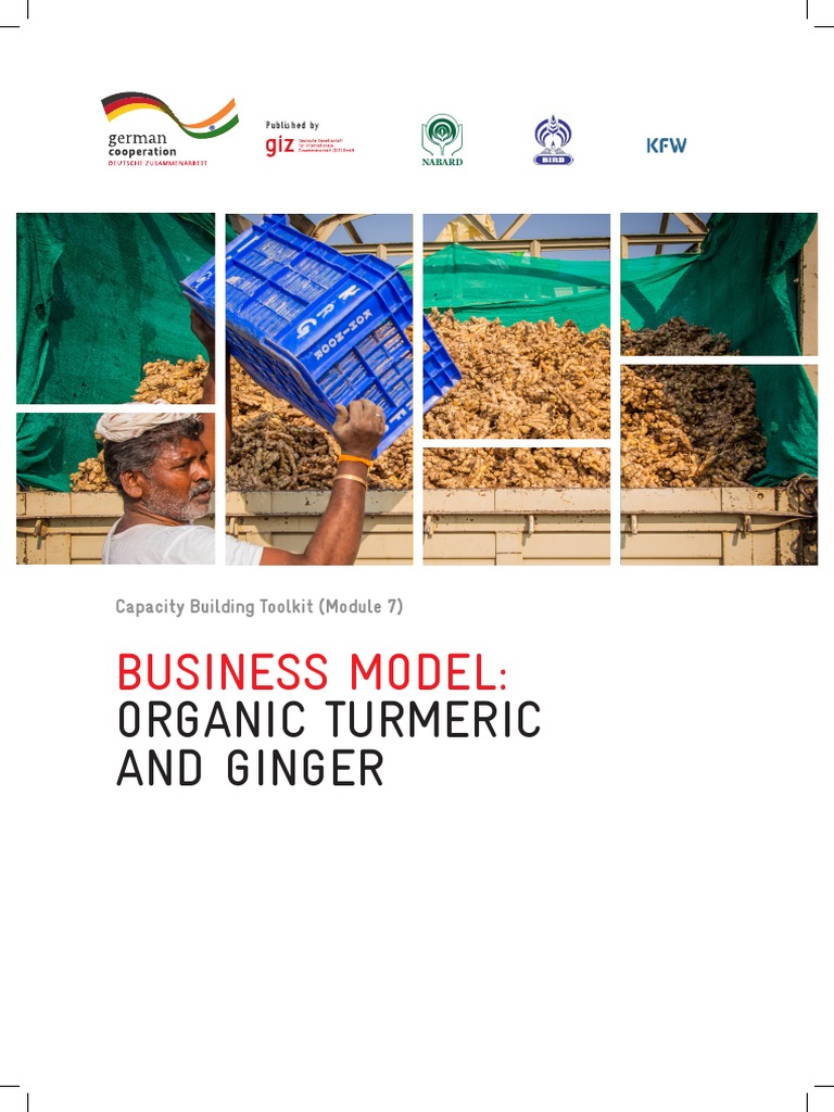 Business Model:: Organic Turmeric and Ginger | PDF | Agriculture ...