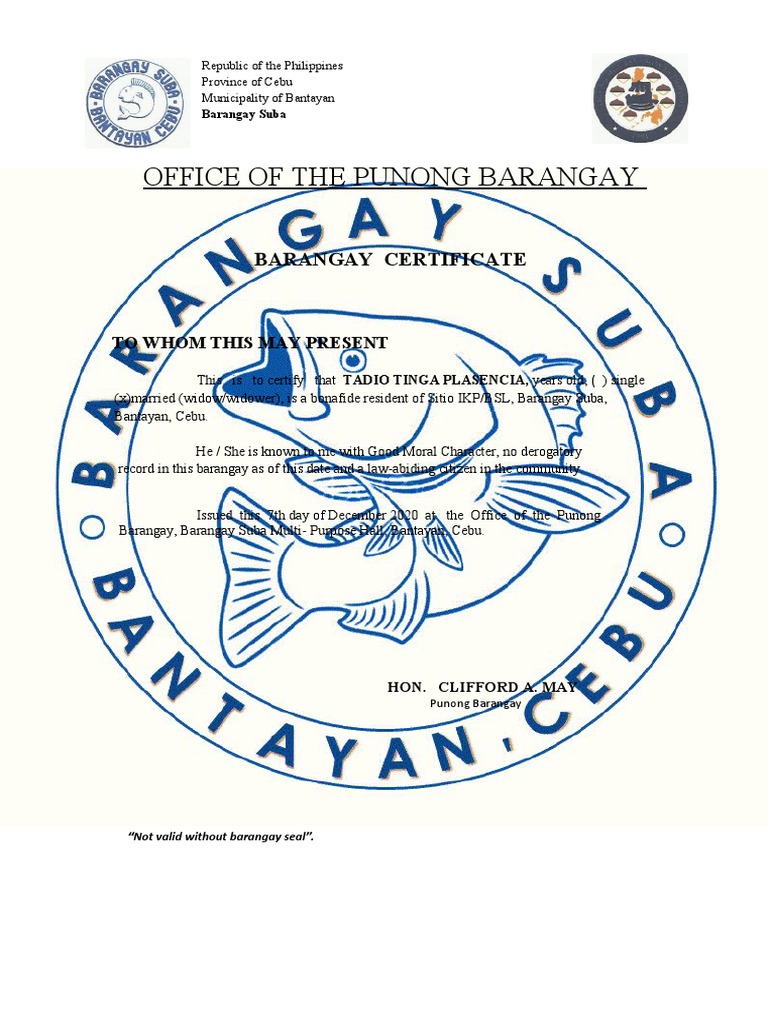 BRGY CERT FOR IDENTIFICATION | PDF