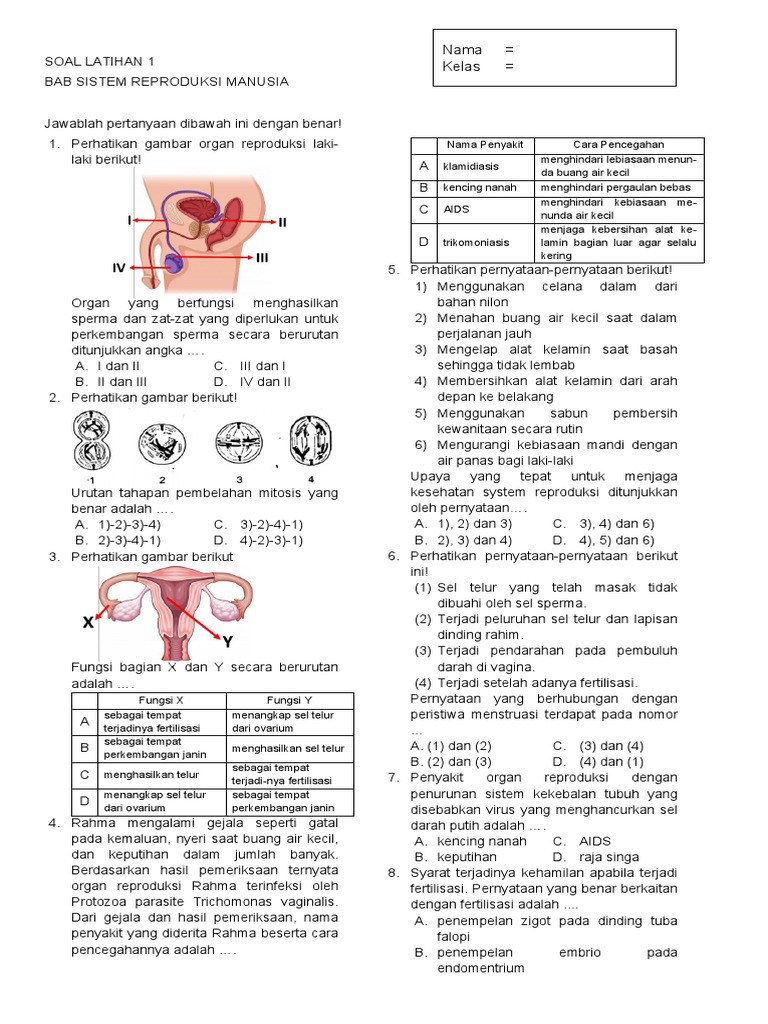 SOAL LATIHAN 1 Sistem Reproduksi Manusia | PDF
