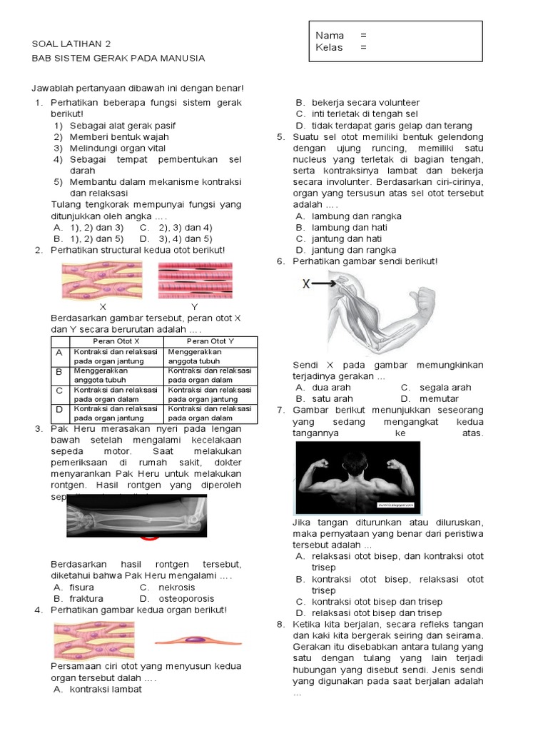SOAL LATIHAN 2 Sistem Gerak Pada Manusia | PDF