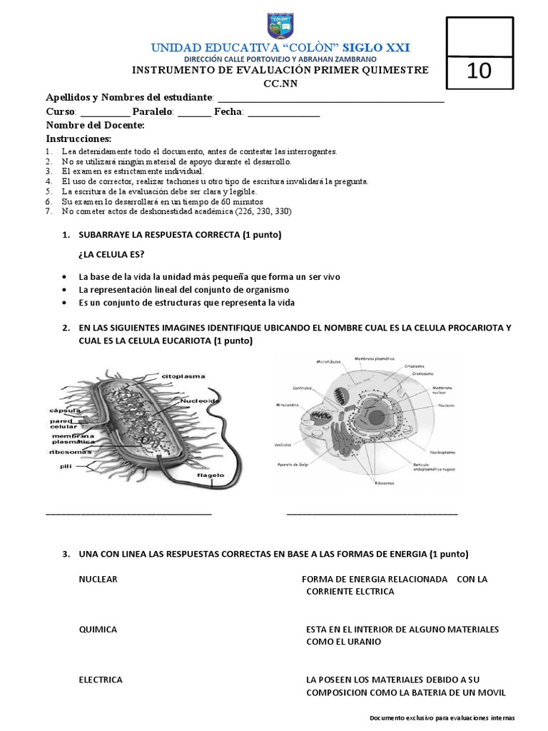 Evaluación Ciencias Naturales Quimestre 1 | PDF | Naturaleza