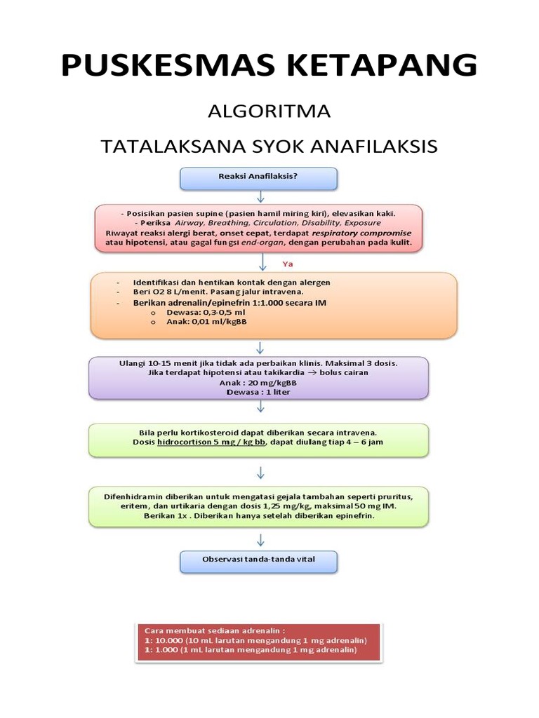 Algoritma Syok Anafilaksis | PDF