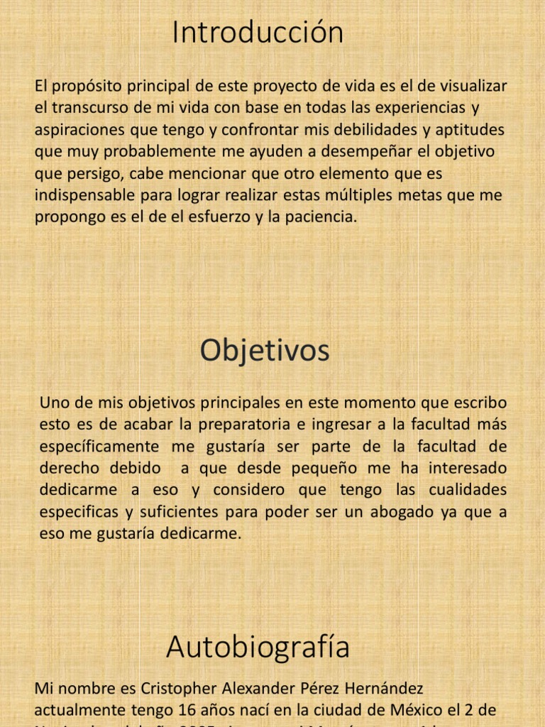 Proyecto de Vida Cristopher Alexander Pérez Hernández | PDF