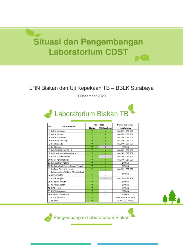 Situasi Dan Pengembangan Lab CDST | PDF