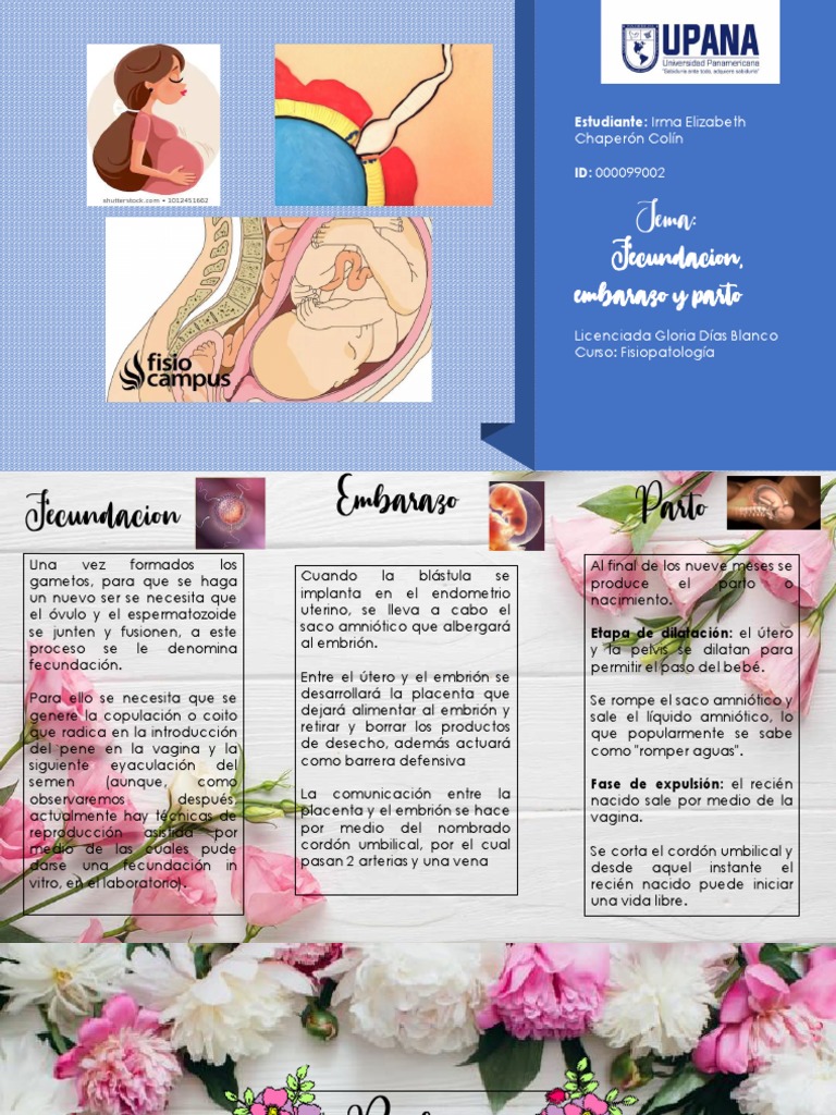 2 - PP - Fecundacion, Embarazo y Parto | Descargar gratis PDF | El embarazo | Parto