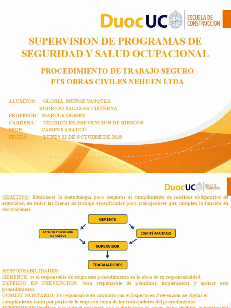Procedimiento Trabajo Seguro PTS | PDF