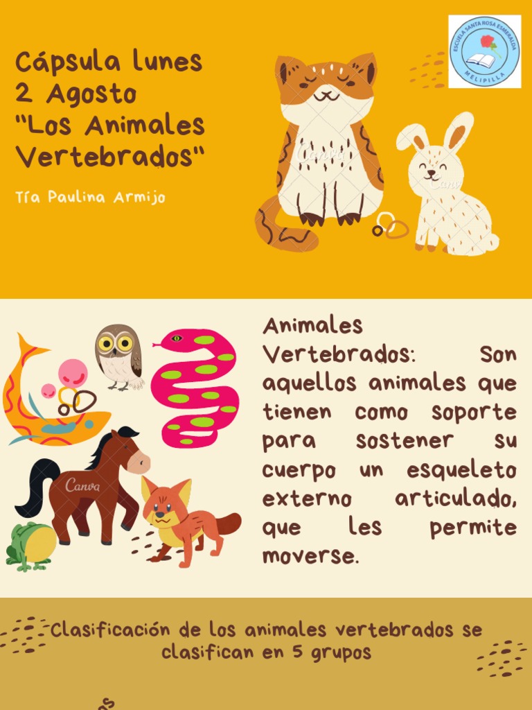 Los cinco grupos principales de animales vertebrados | PDF | Reptil ...