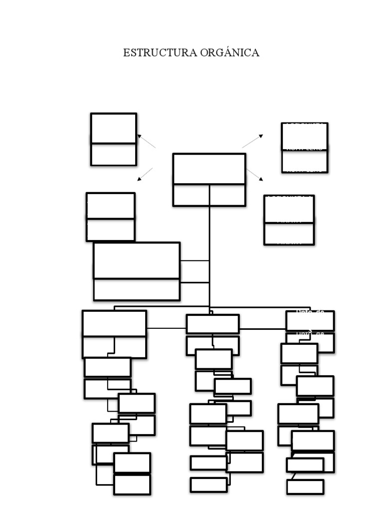 Estructura Orgánica | PDF