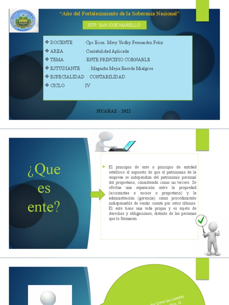 Principio de Ente en Contabilidad | PDF