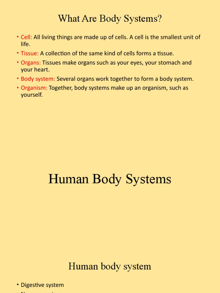 Science 4 Human Body System | PDF | Human Body | Skeleton