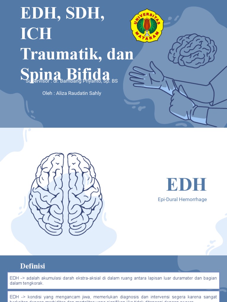 EDH SDH ICH DLL | PDF