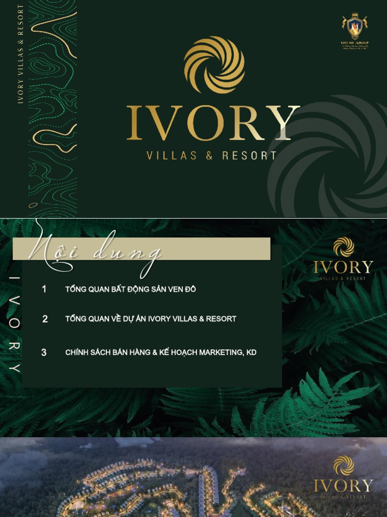 Ivory Hòa Bình | PDF