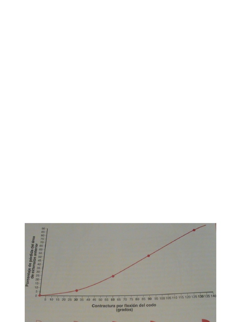 muñeca y mano | PDF | Mano | Sistema musculoesquelético