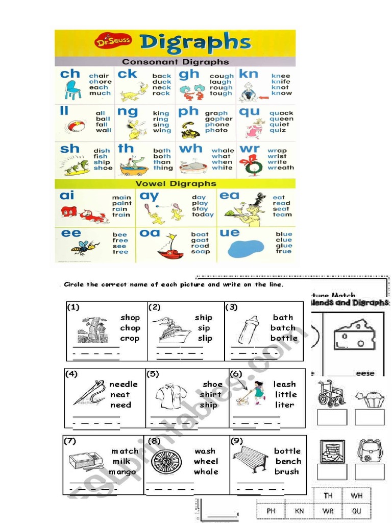 Digraphs | PDF