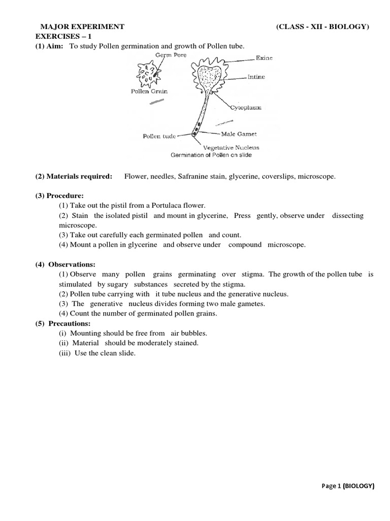 XII-BIOLOGY-PRACTICAL-Copy | PDF | Meiosis | Ovary