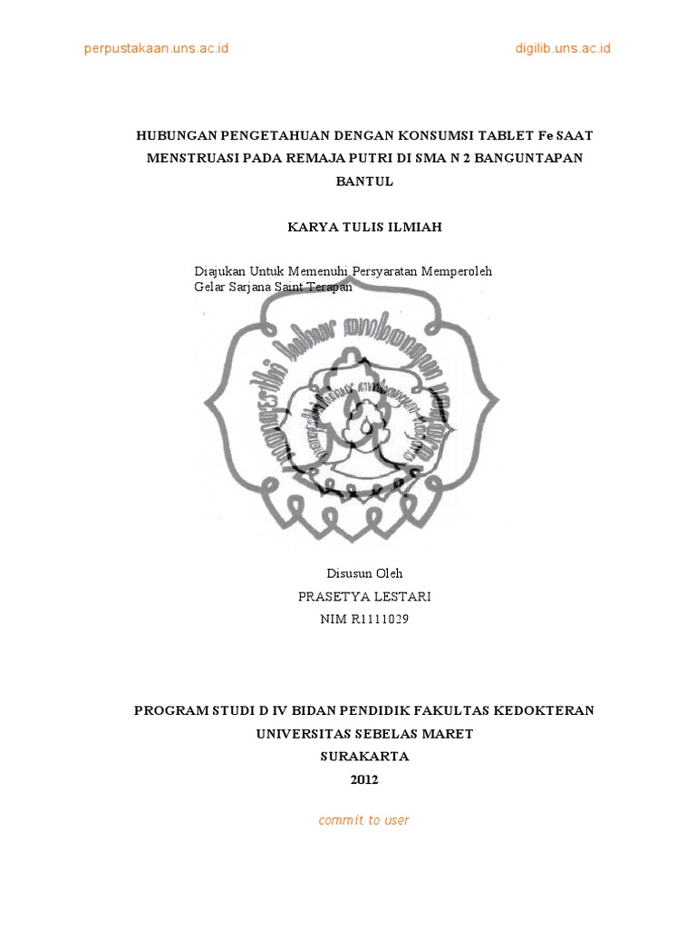 Tablet Fe Remaja 2-Dikonversi | PDF