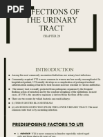 Uti Case Study | PDF | Urinary Tract Infection | Rtt
