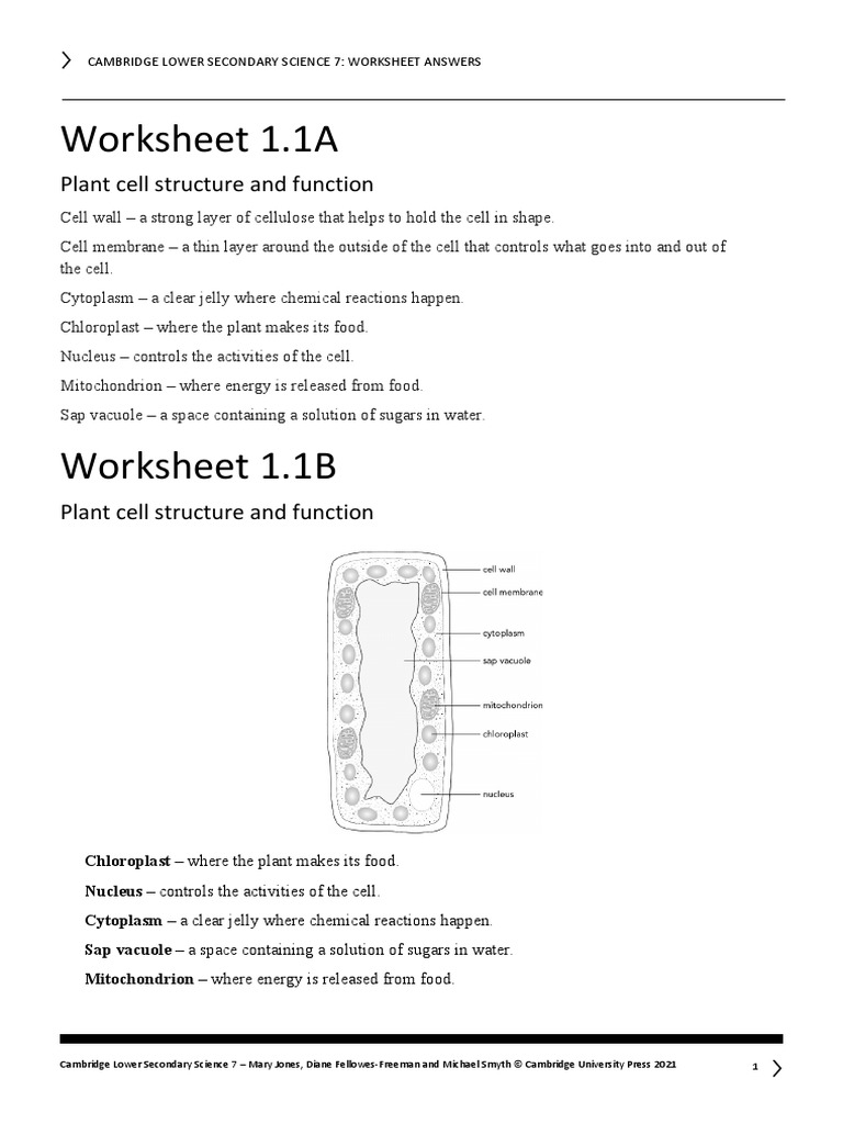 Worksheet 1.1A: Plant Cell Structure and Function | PDF | Tide | Moon