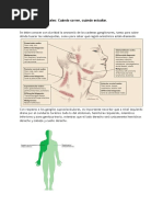 Abscesos en el cuello: causas y riesgos | PDF | Especialidades Medicas ...