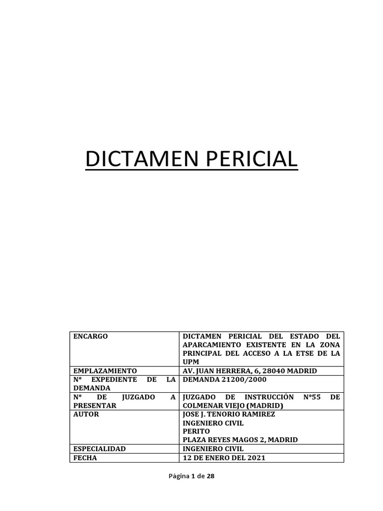 Dictamen Pericial | PDF | Corrosión | Diseño