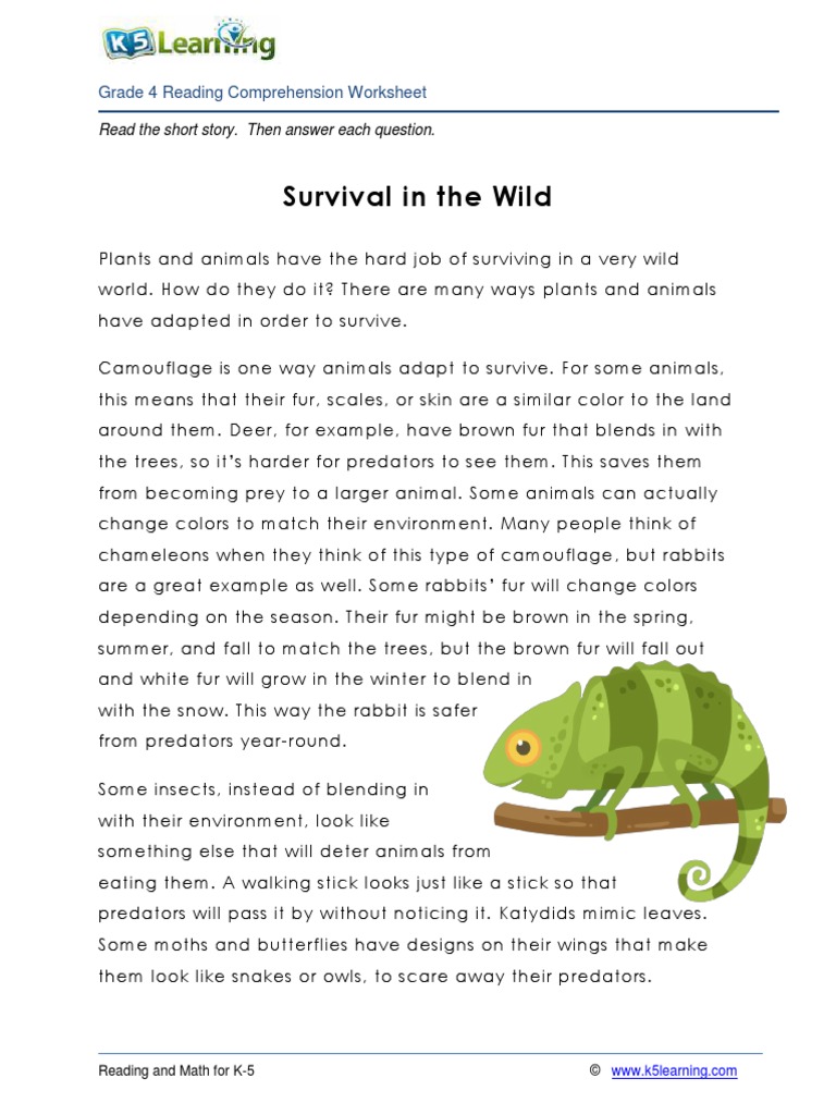 Survival in The Wild: Grade 4 Reading Comprehension Worksheet ...