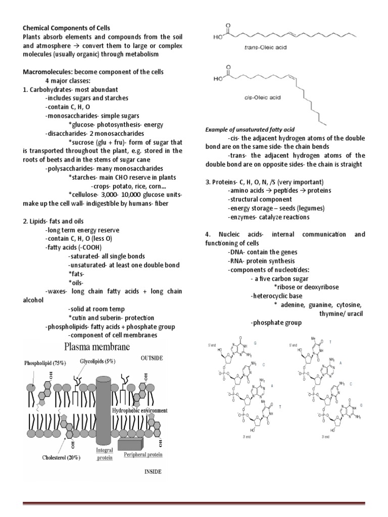 Chemical Components of Cells | PDF | Tissue (Biology) | Carbohydrates