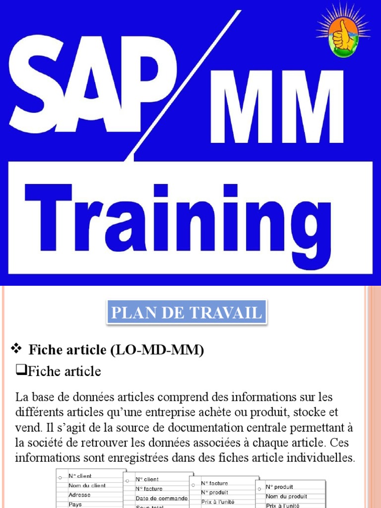 Sap MM | PDF | Bases de données | Inventaire
