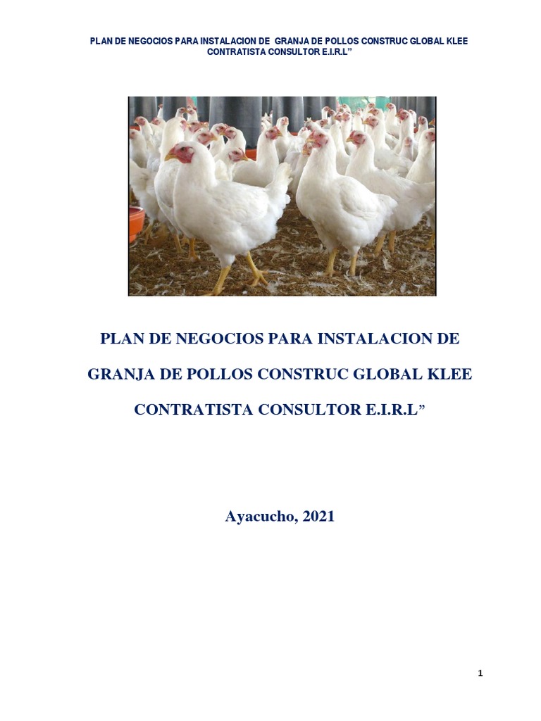 Plan de negocios para granja avícola de pollos en Ayacucho | PDF | Marketing | Al por menor