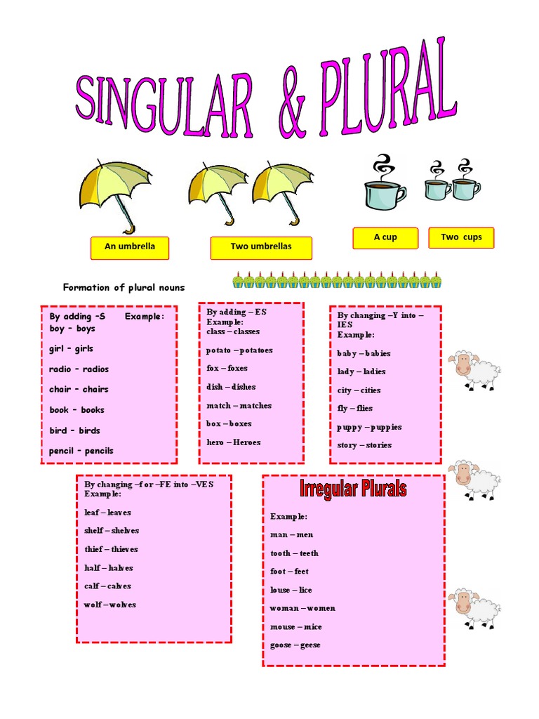 Plural Forms of Nouns Explained | PDF | Linguistic Typology | Syntax
