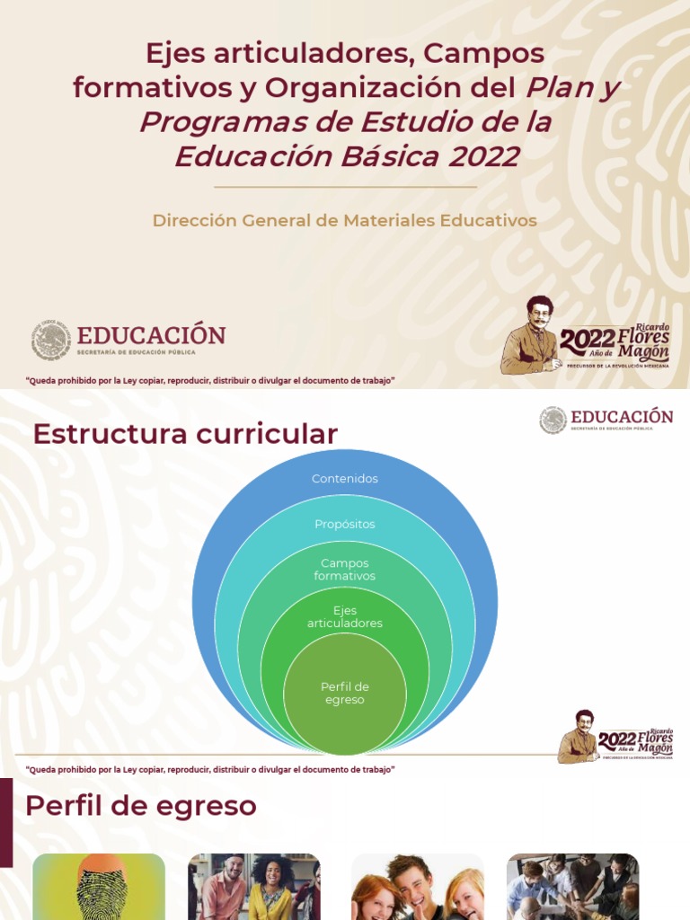 Ejes Articuladores Campos Formativos y Organización VF | PDF