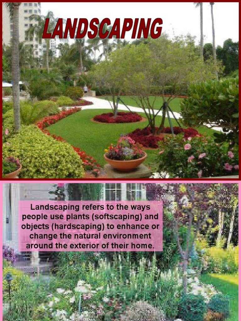 150 Landscaping | PDF | Soil | Botany