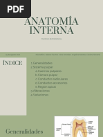 Región Geniana o Región de La Mejilla | PDF | Anatomía | Anatomía humana