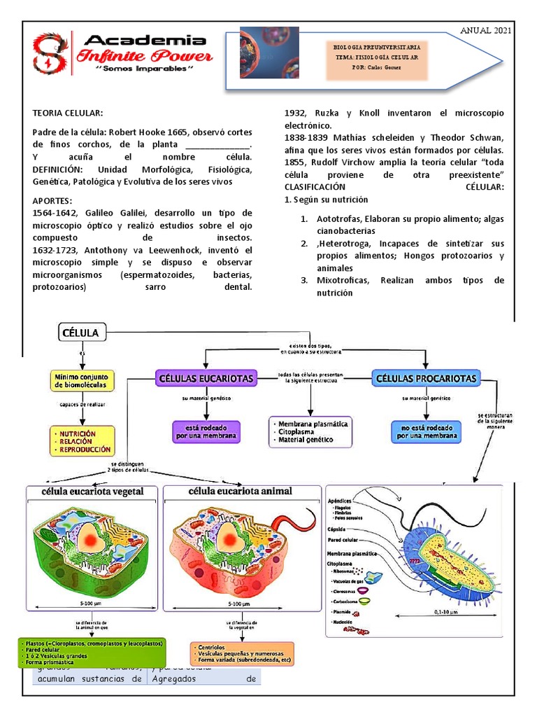 Teoria Celular | PDF | Biología Celular) | Plantas