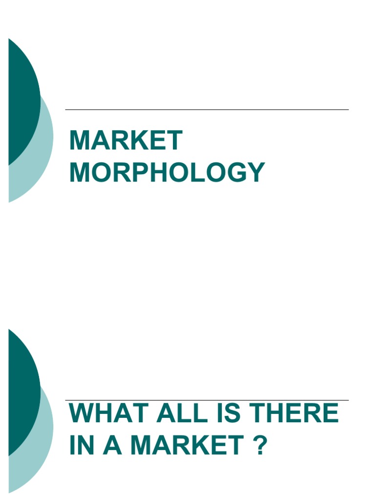 Market Morphology | PDF