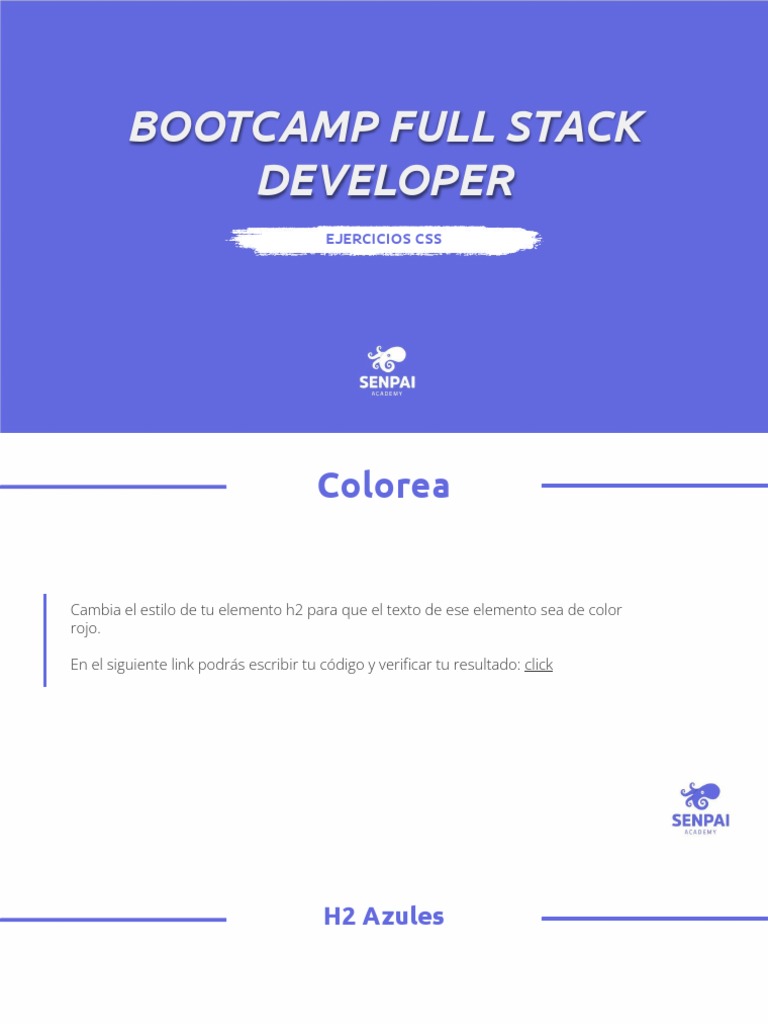 Ejercicios CSS para Desarrolladores | PDF | Estándares web | Informática