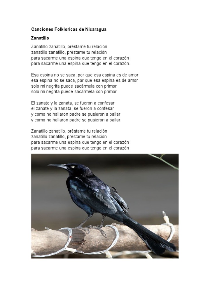 Canciones Folkloricas de Nicaragua | PDF | Maíz | Bailes