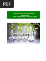 Practico 1 Sublimación Del Yodo 2023 | PDF | Yodo | Tiroides